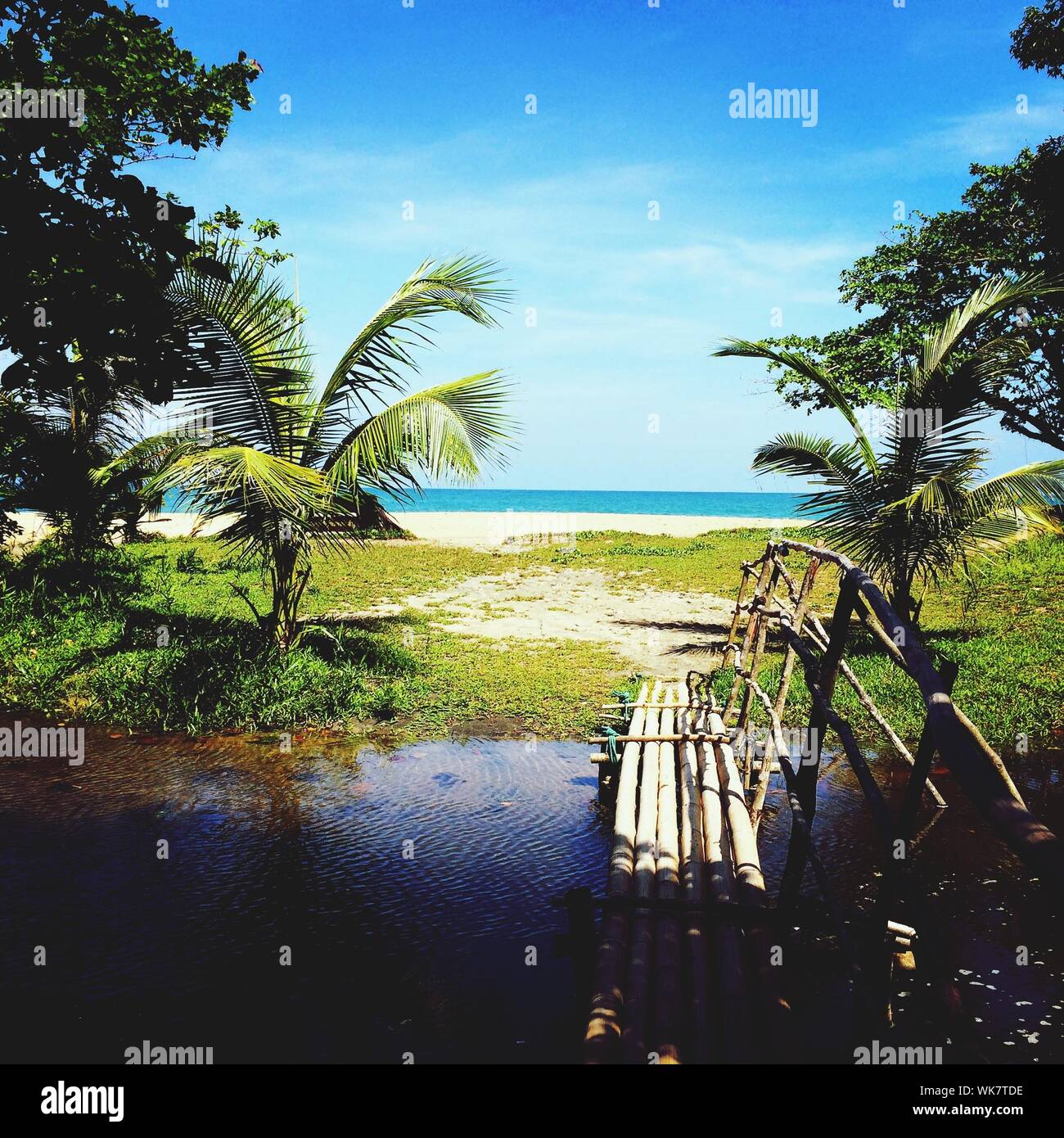Bamboo Footbridge High Resolution Stock Photography and Images - Alamy