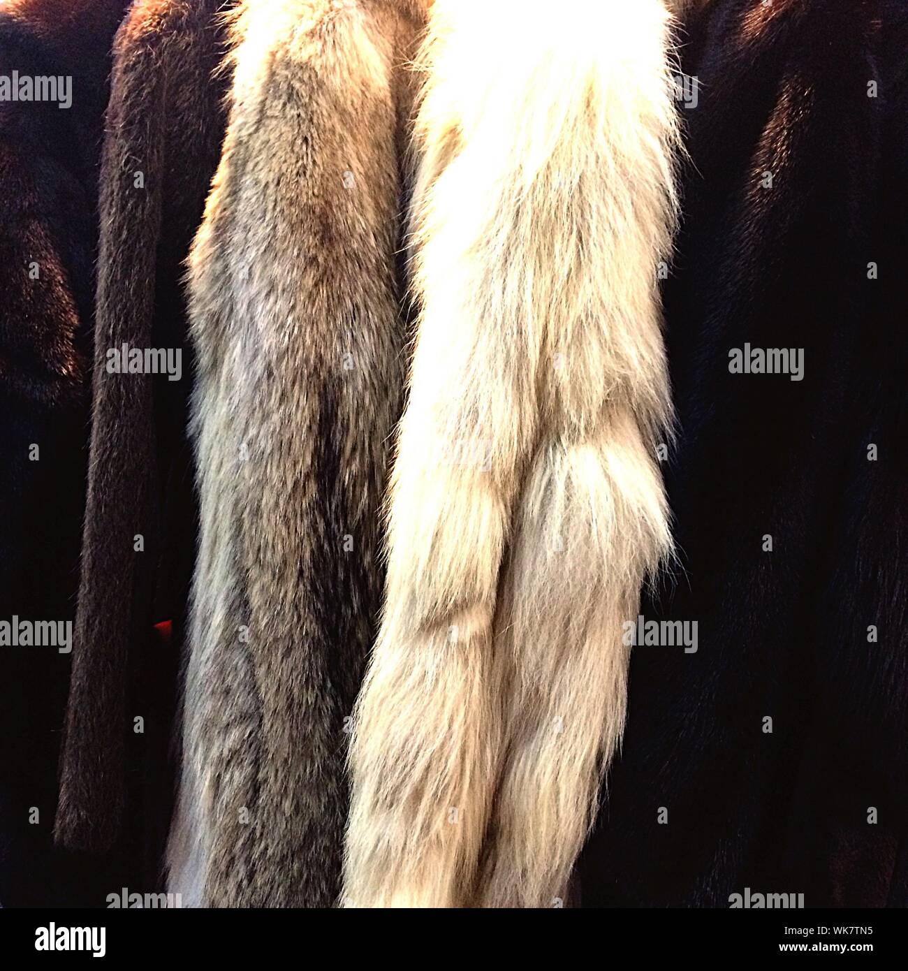 Hanging up fur coat hi-res stock photography and images - Alamy