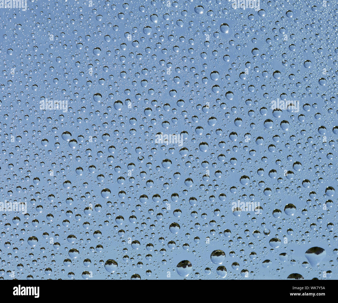 Set of small drops of water on a glass surface - backdrop Stock Photo ...