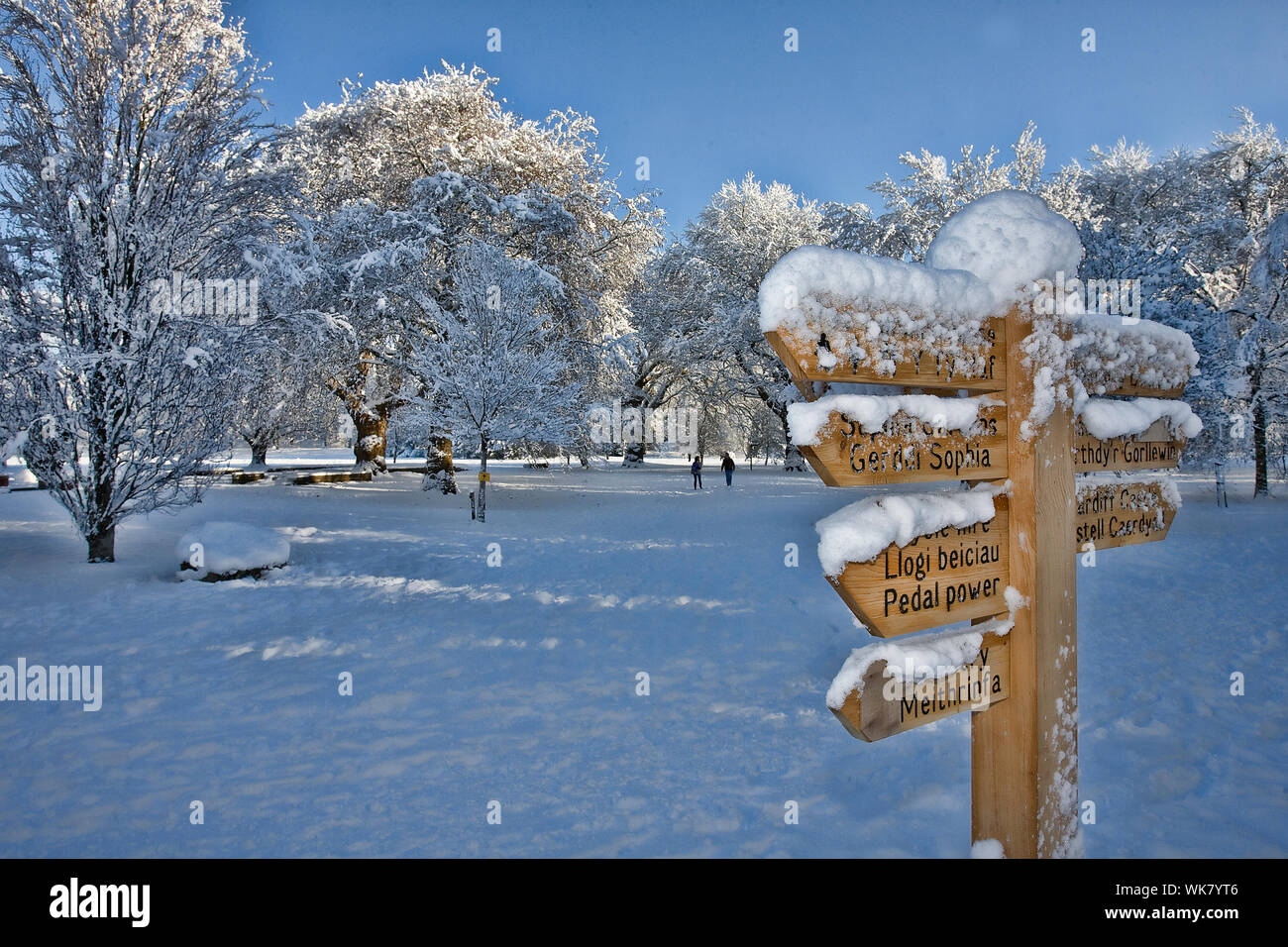 Tree covering sign hi-res stock photography and images - Alamy