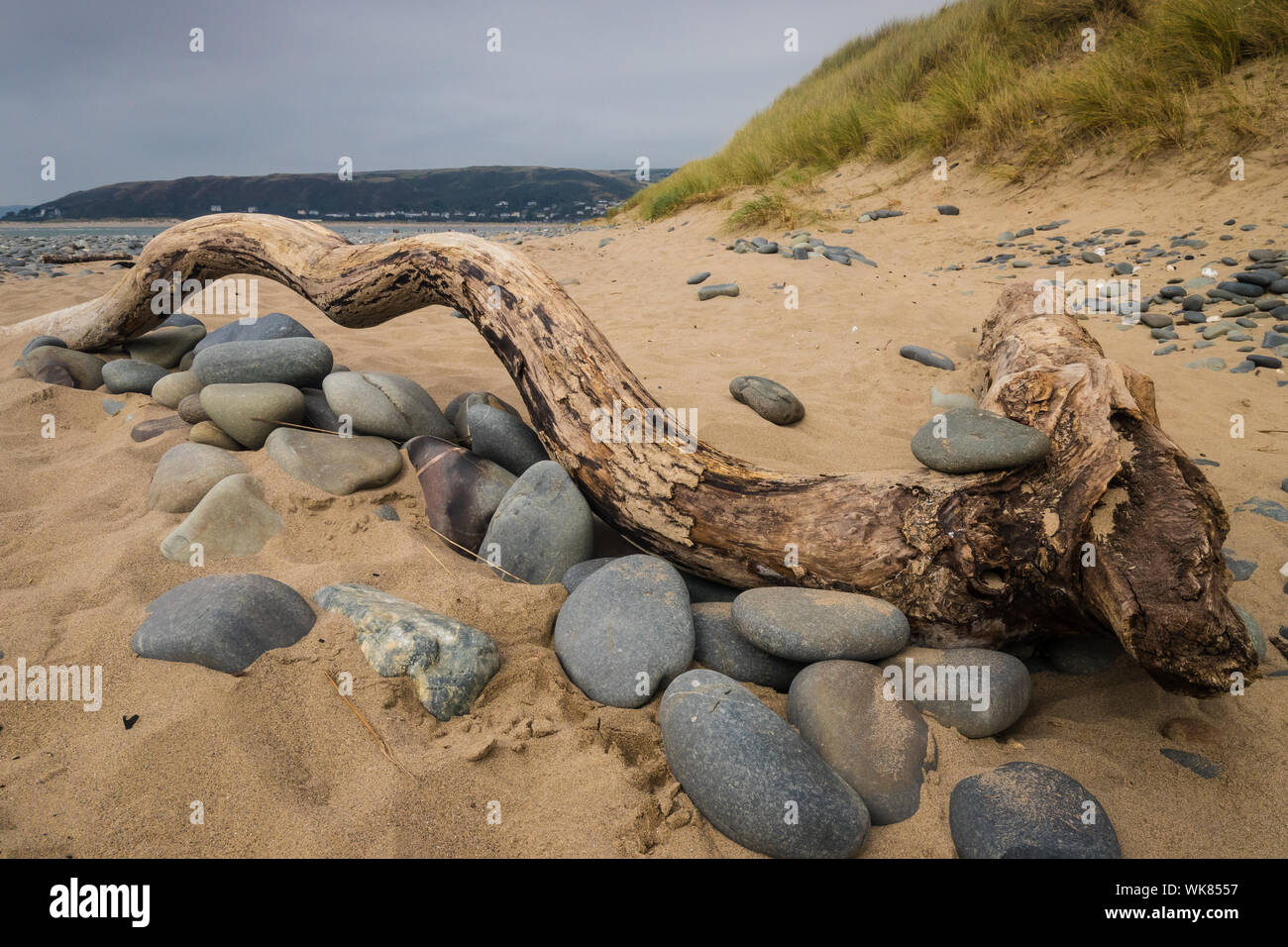 Ynyslas national nature reserve hi-res stock photography and images - Alamy
