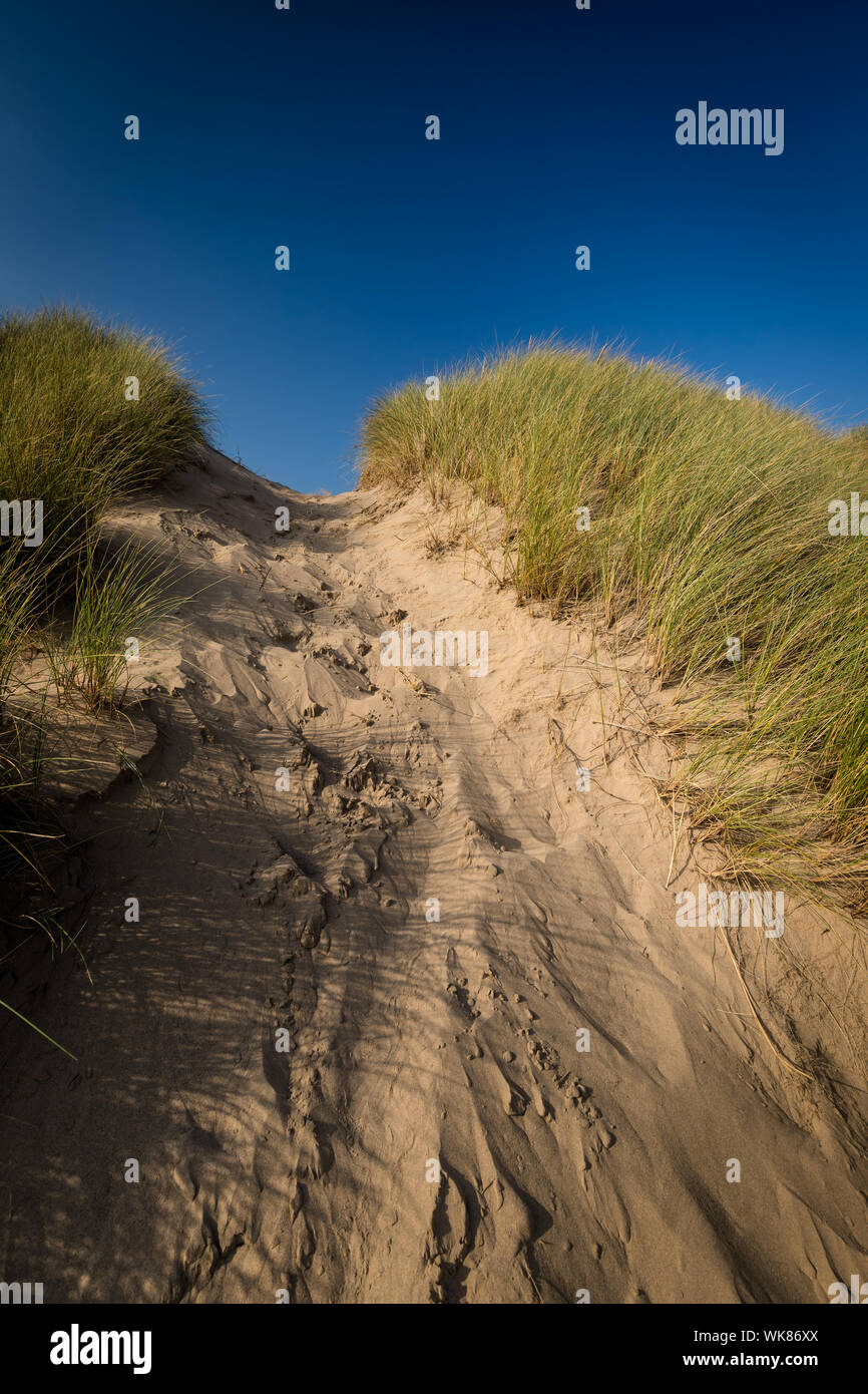 Ynyslas hi-res stock photography and images - Alamy