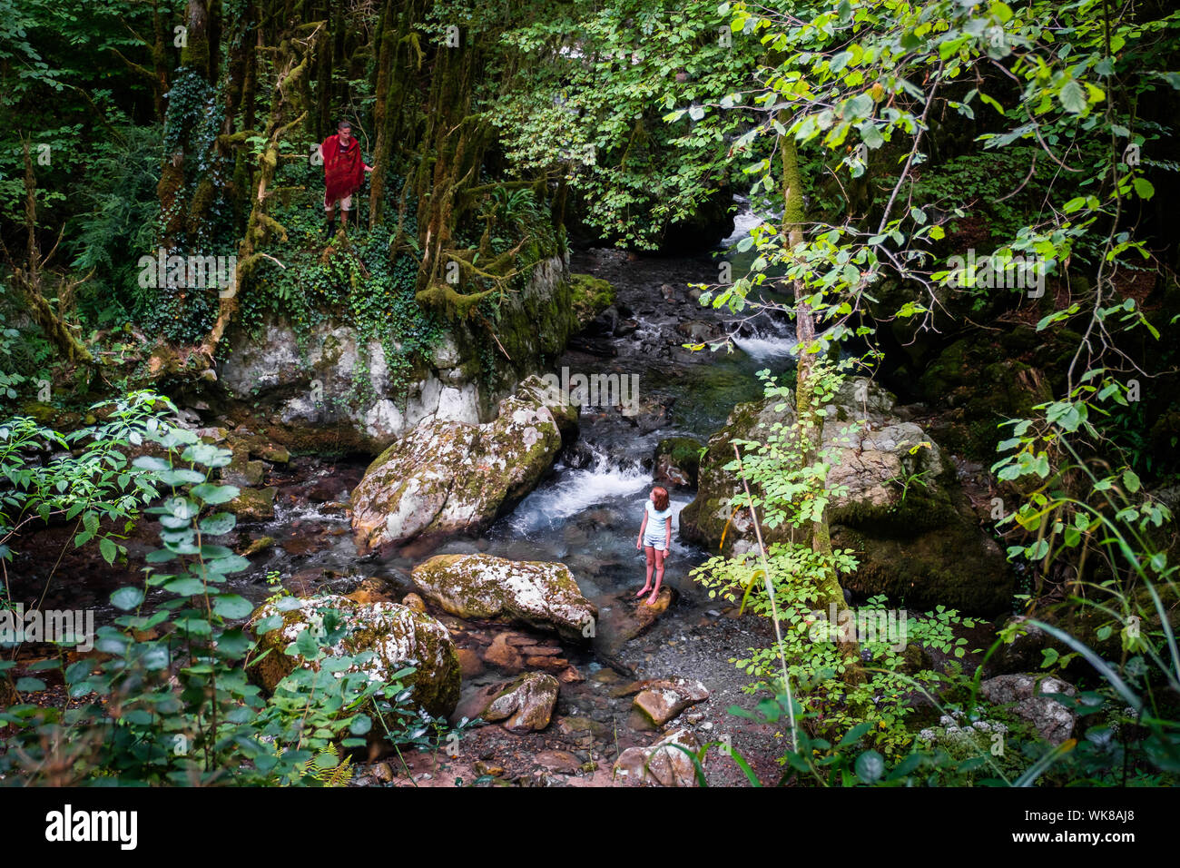 Hautes-Pyrenees department (Upper Pyrenees, south-western France ...