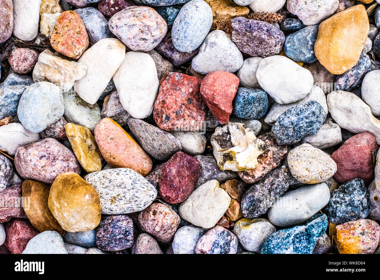 Landscape architecture, interior design and nature elements concept ...