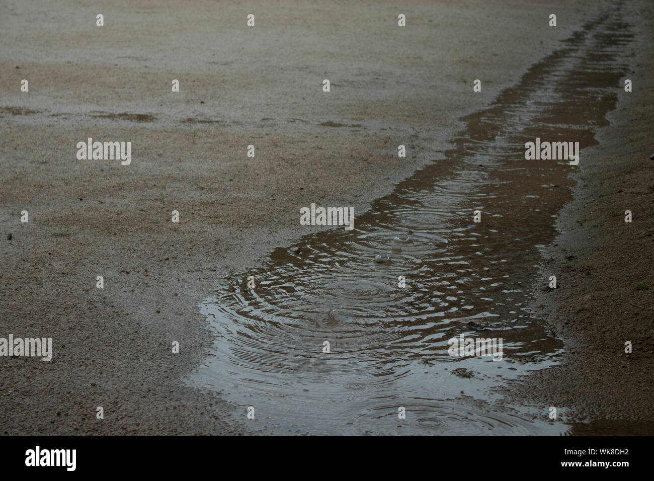 Raindrops on puddle hi-res stock photography and images - Alamy