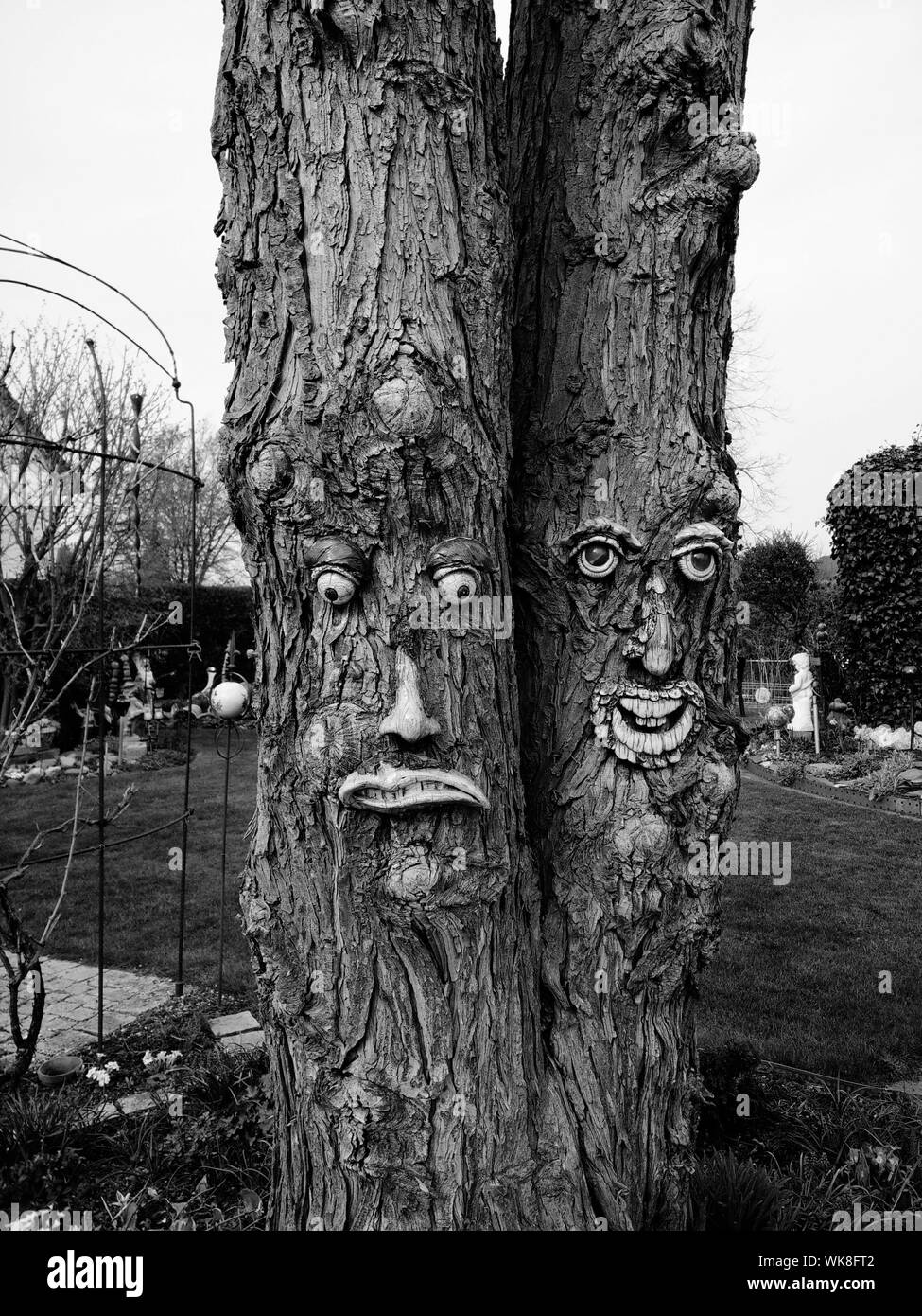 Anthropomorphic tree hi-res stock photography and images - Alamy