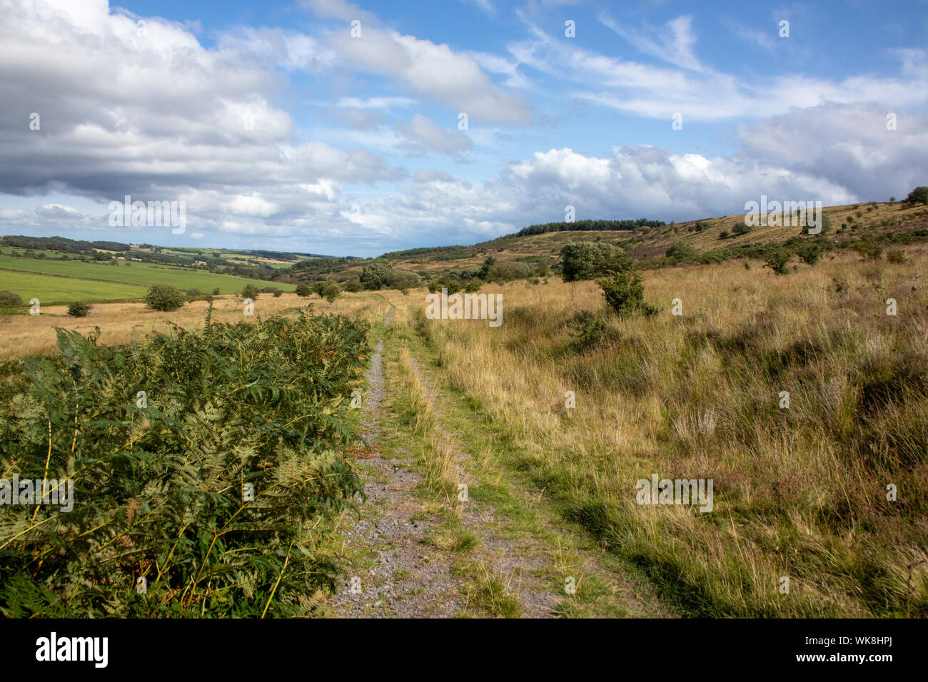 Hedleyhope Fell, County Durham Stock Photo - Alamy