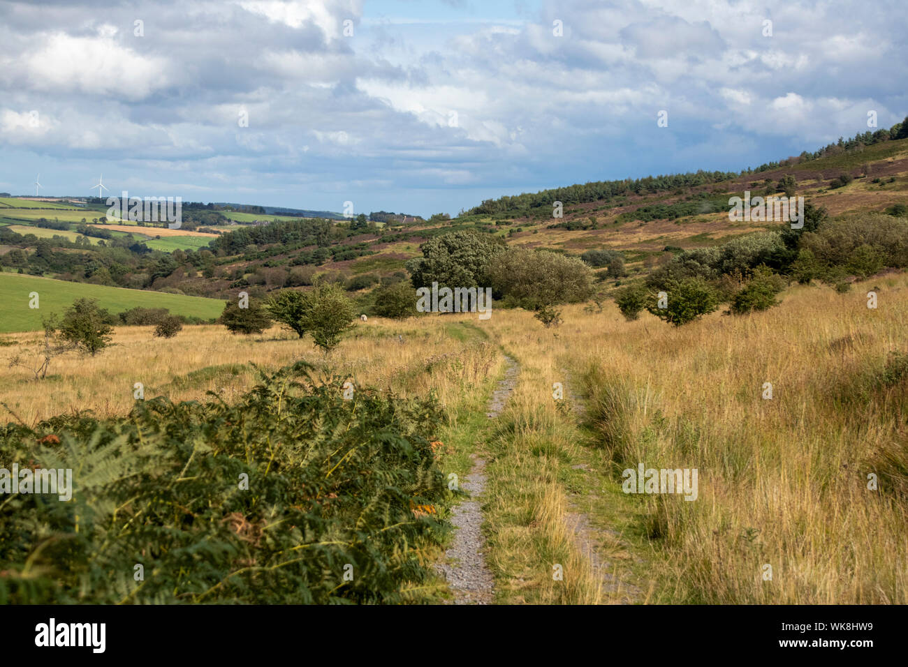 Hedleyhope Fell, County Durham Stock Photo - Alamy