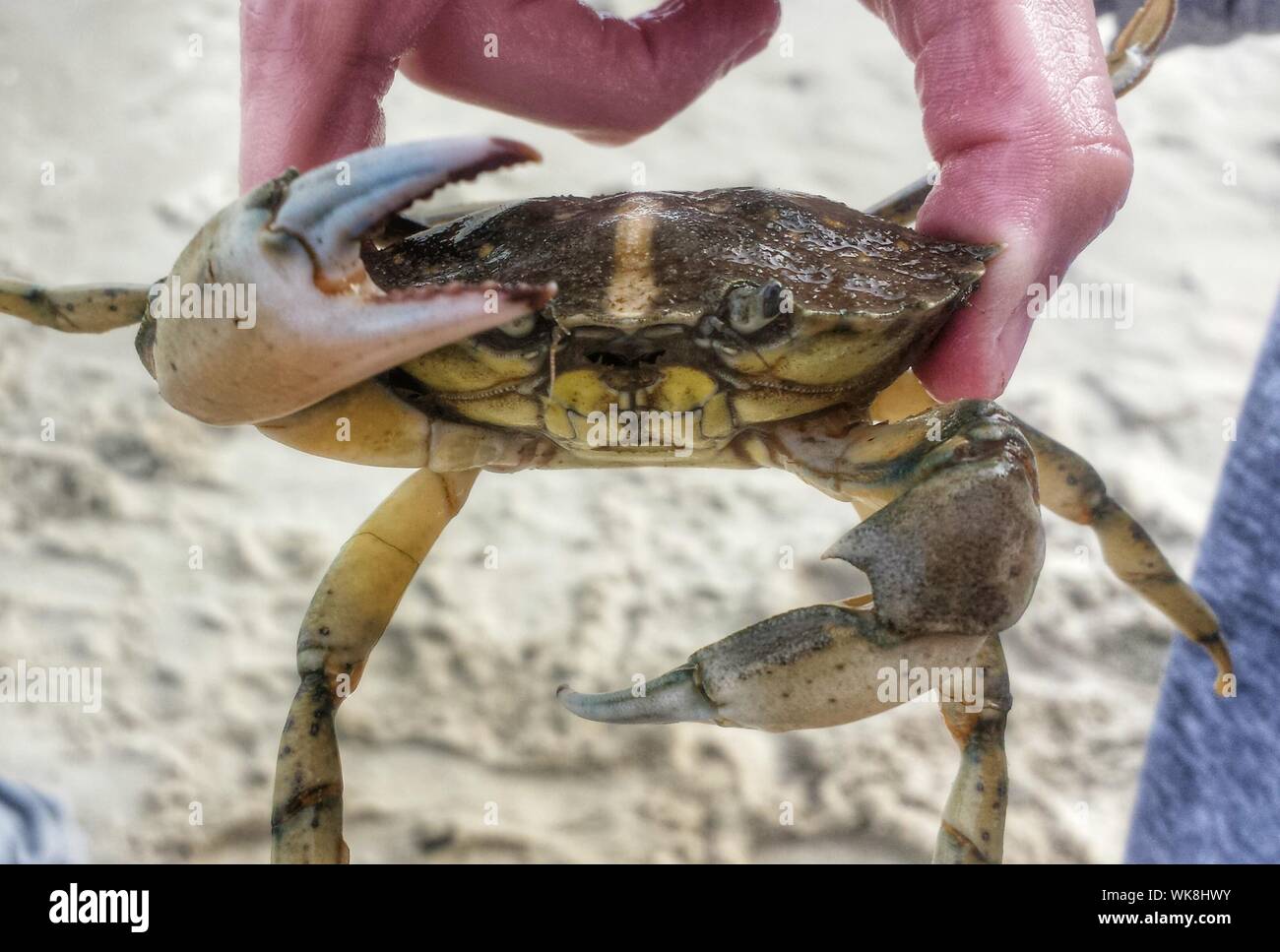 Crab man hi-res stock photography and images - Alamy