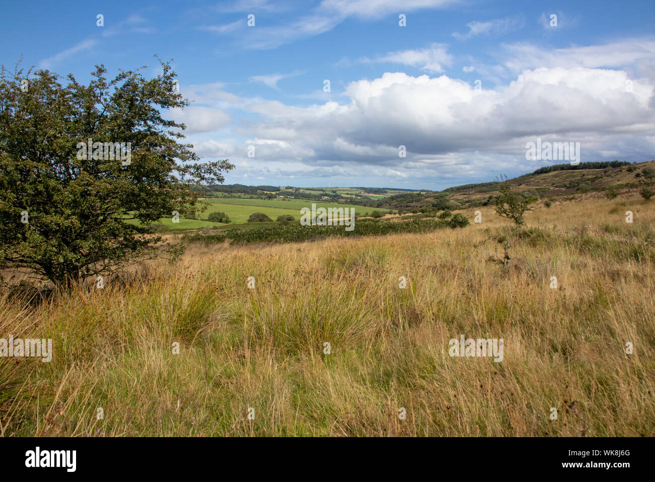 Hedleyhope Fell, County Durham Stock Photo - Alamy