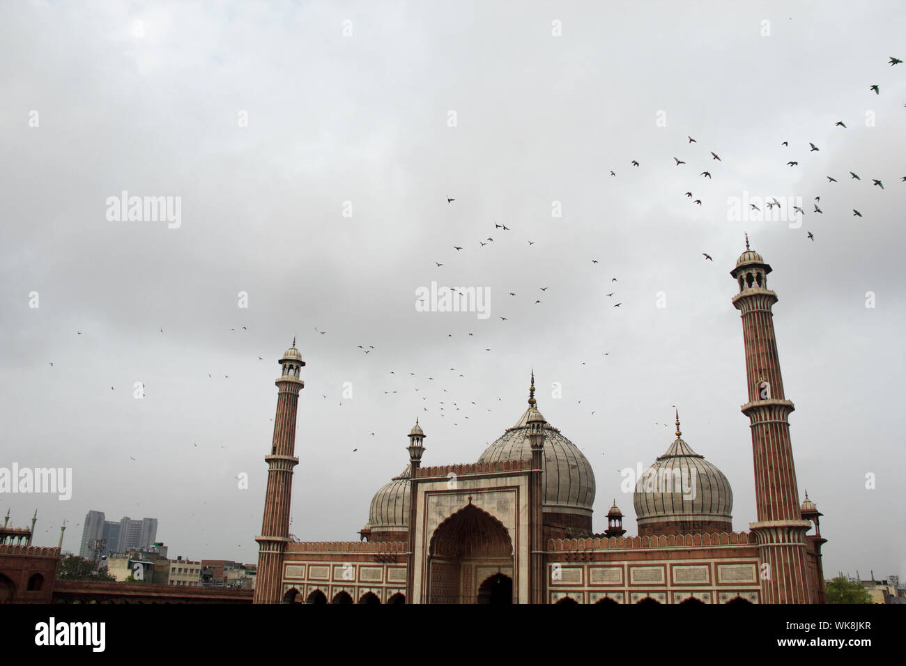 Birds flying over mosque hi-res stock photography and images - Alamy