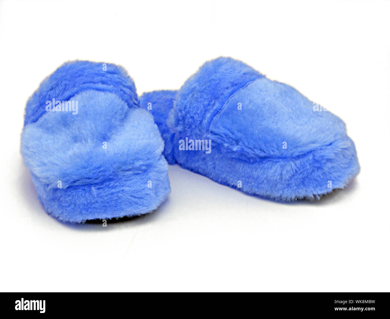 Blue mule in studio Stock Photo - Alamy
