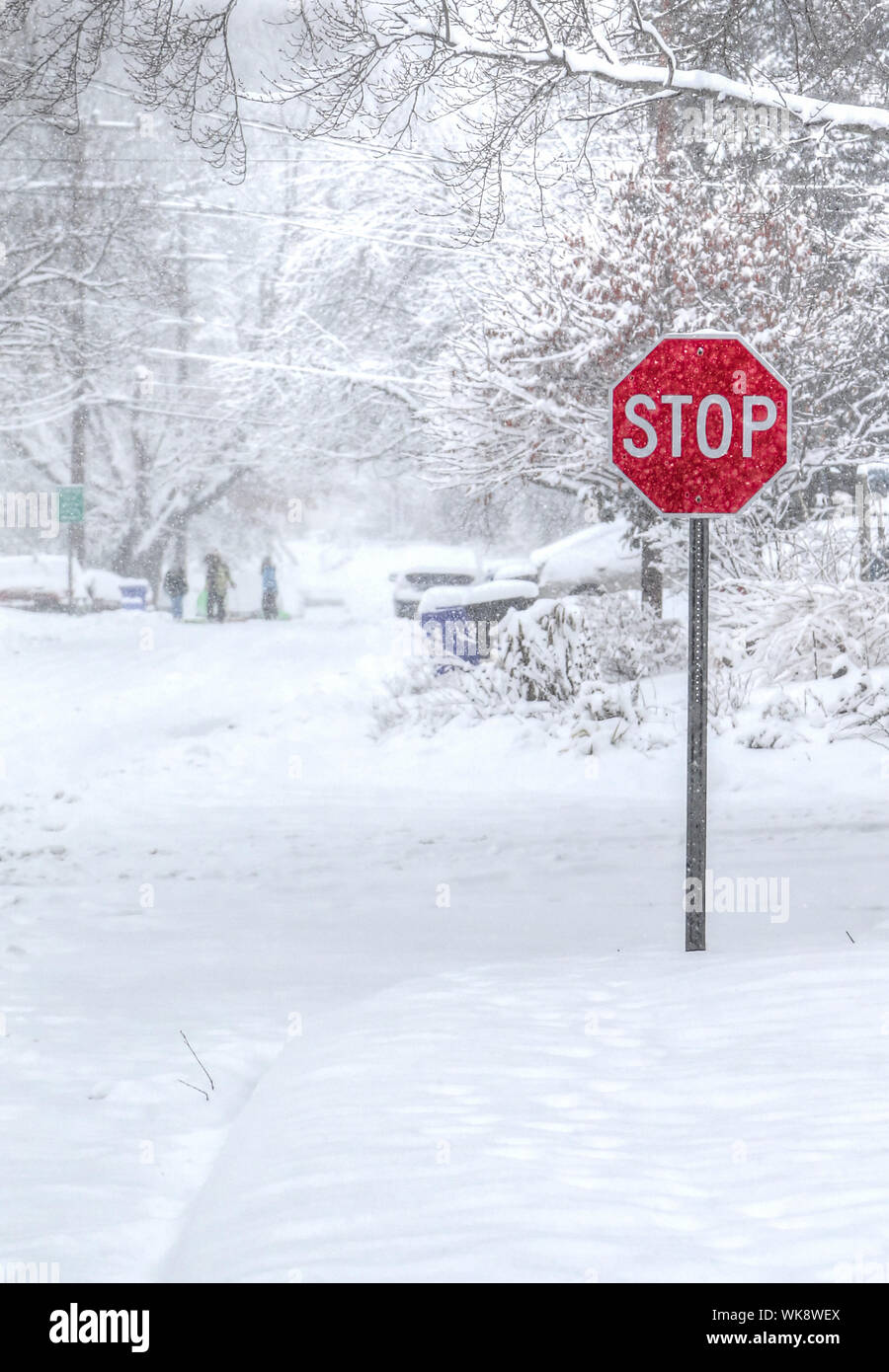 Snow covered red and white stop sign hi-res stock photography and ...
