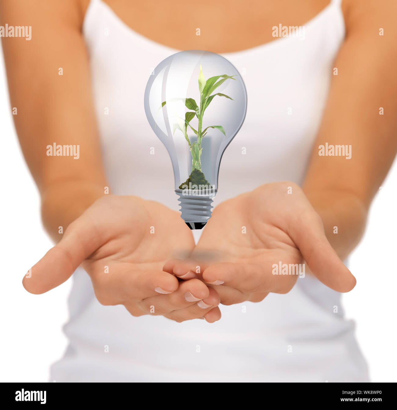 closeup picture of hands with green light bulb Stock Photo - Alamy