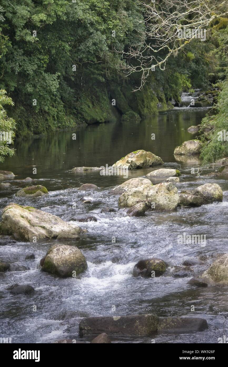Stream idyllic hi-res stock photography and images - Alamy