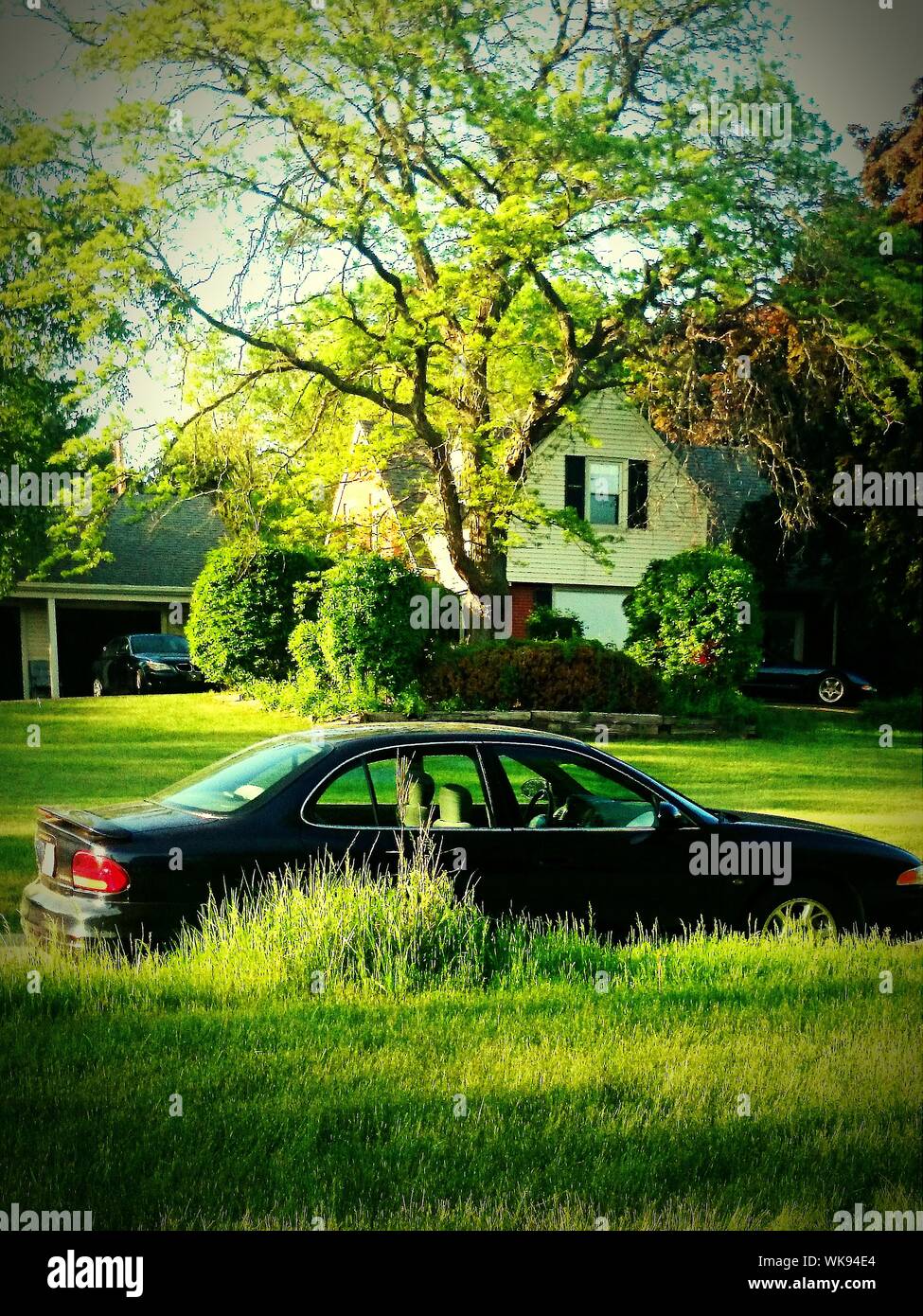 Car Parked On Grass Stock Photos & Car Parked On Grass Stock Images - Alamy