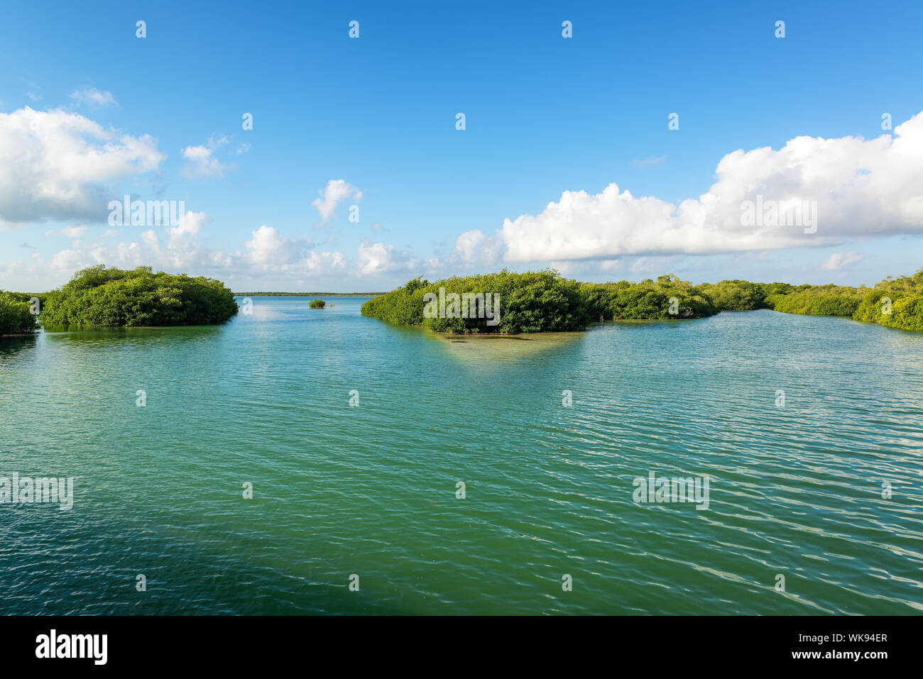 Sian kaan biosphere reserve hi-res stock photography and images - Alamy