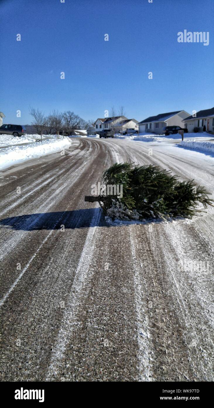 Fallen tree on road hi-res stock photography and images - Alamy