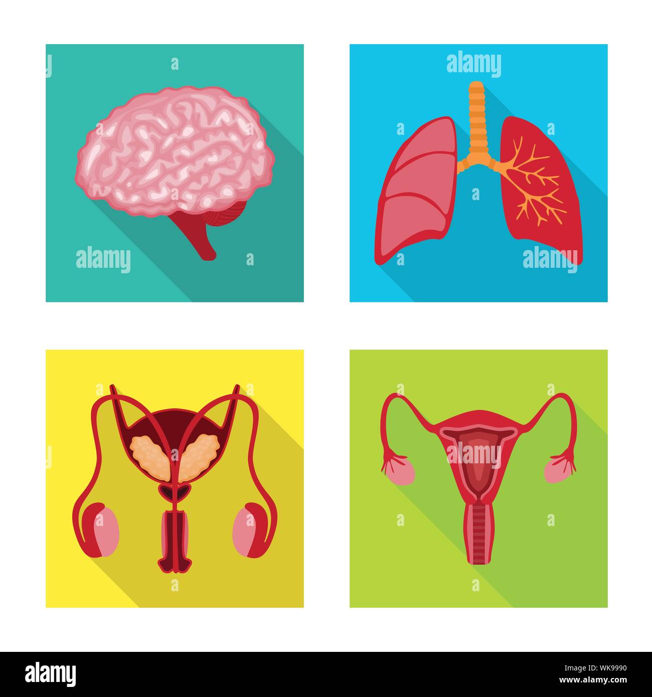 Vector Vectors Stock Vector Image And Art Alamy