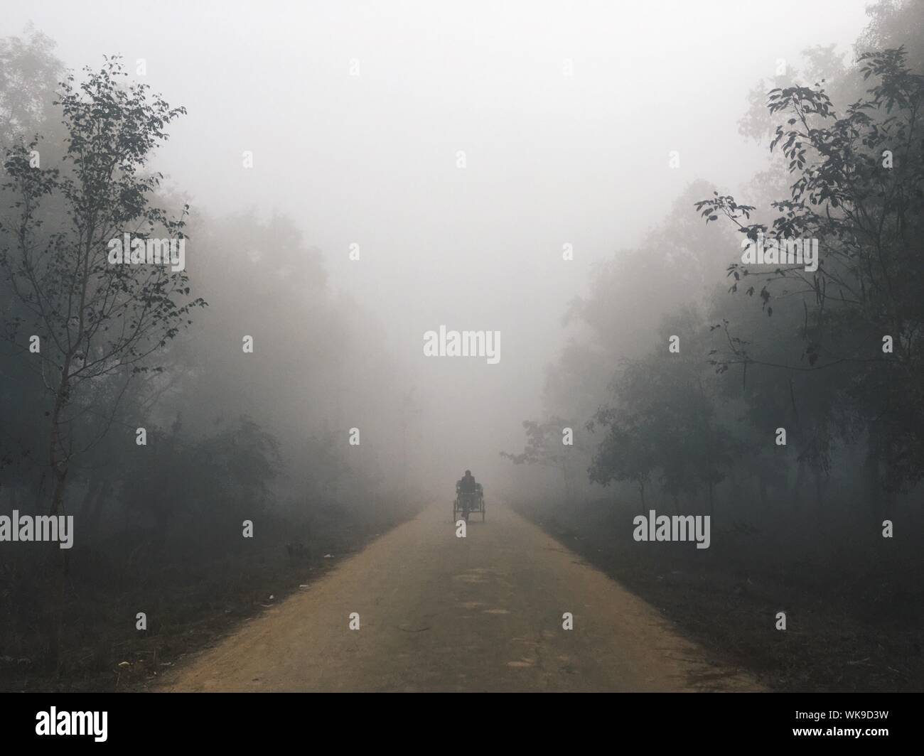 Man riding cart hi-res stock photography and images - Alamy