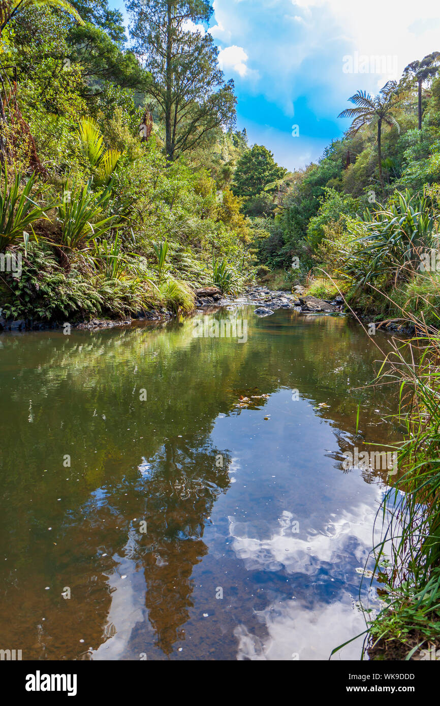 Waipu river hi-res stock photography and images - Alamy