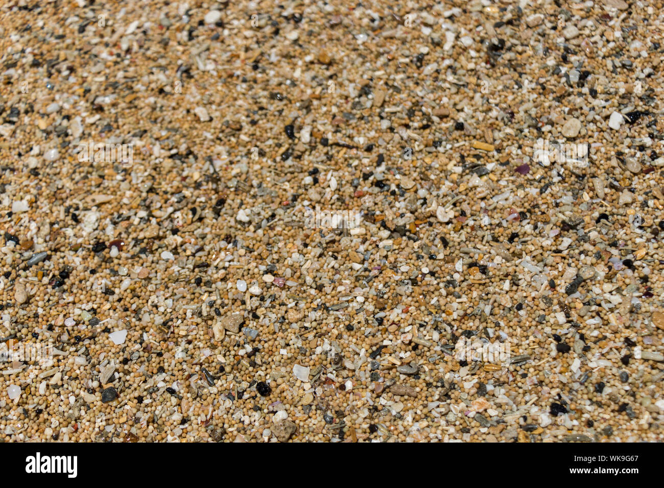 Gravel background texture with a mix of fine grains and small weathered ...