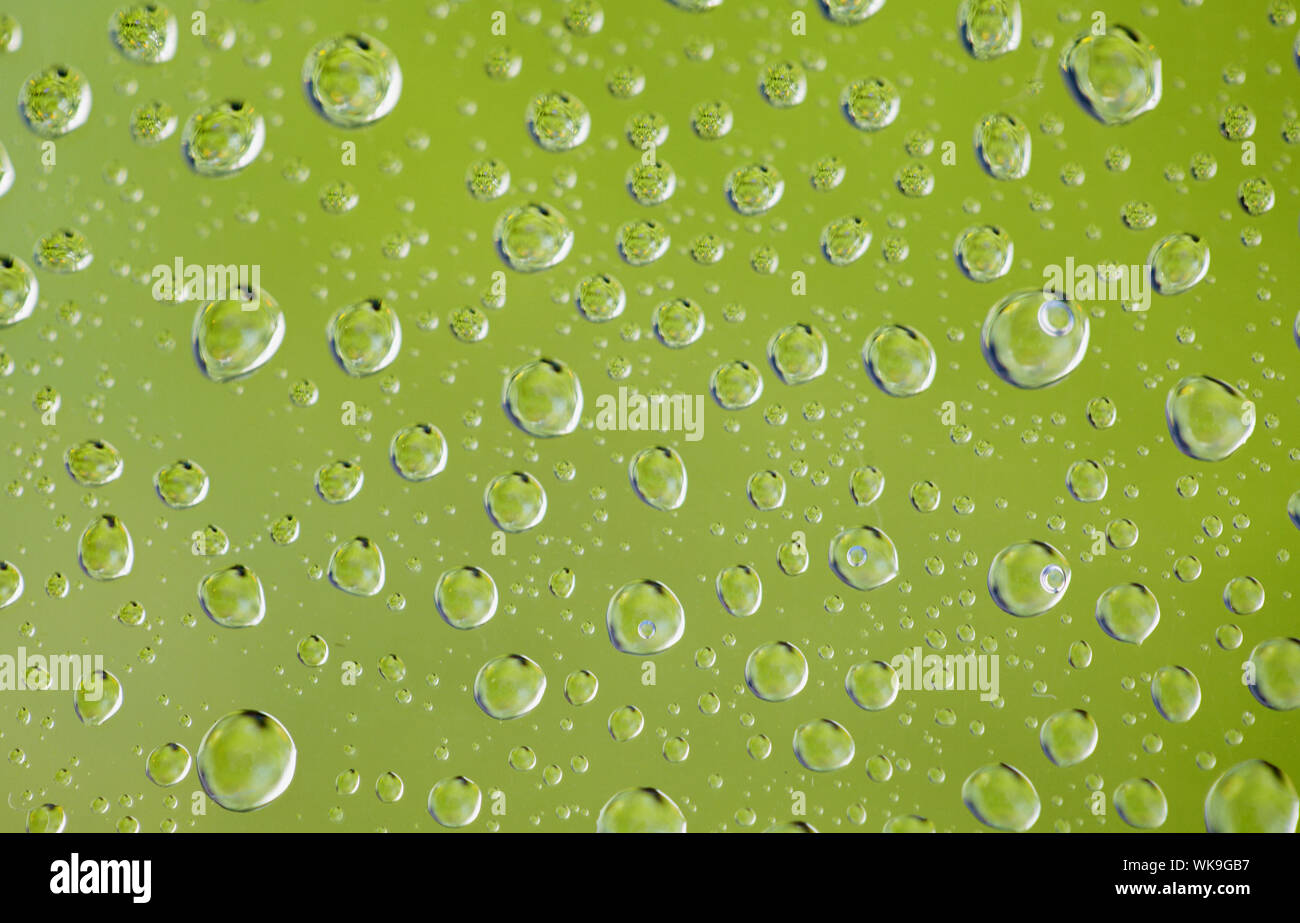 Droplets of rain water on a transparent surface Stock Photo - Alamy