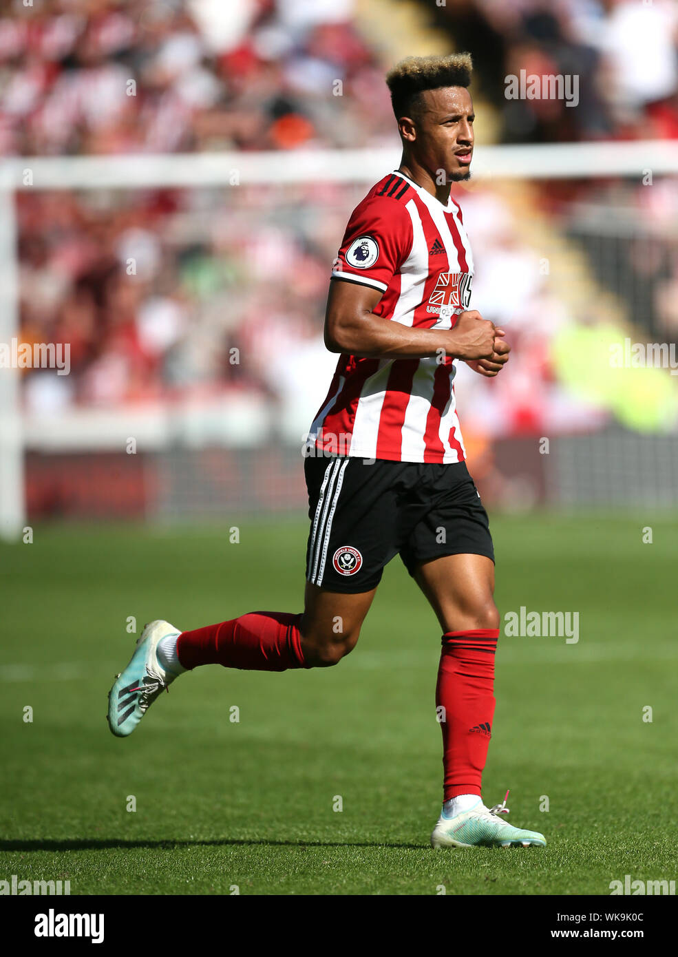 Callum Robinson, Sheffield United Stock Photo - Alamy