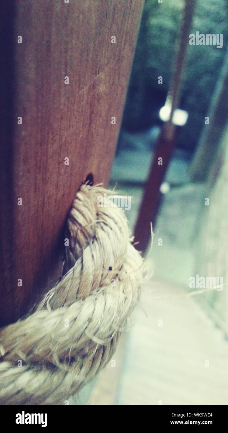 Wood Pole With Rope High Resolution Stock Photography and Images - Alamy