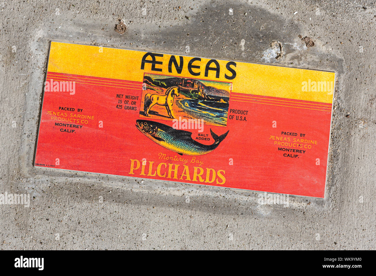 Pilchards hi-res stock photography and images - Alamy