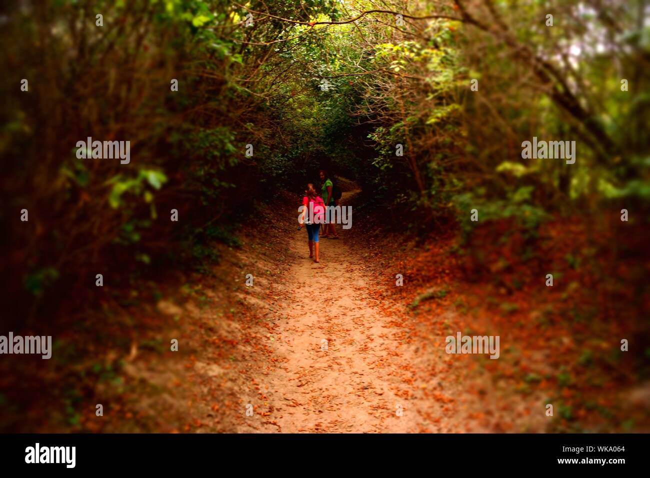 Child backpacks hi-res stock photography and images - Alamy