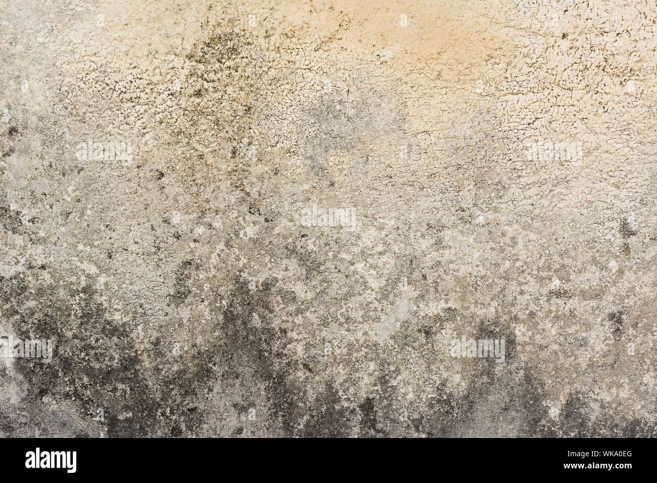 Textured background, real wall texture in grunge style Stock Photo - Alamy