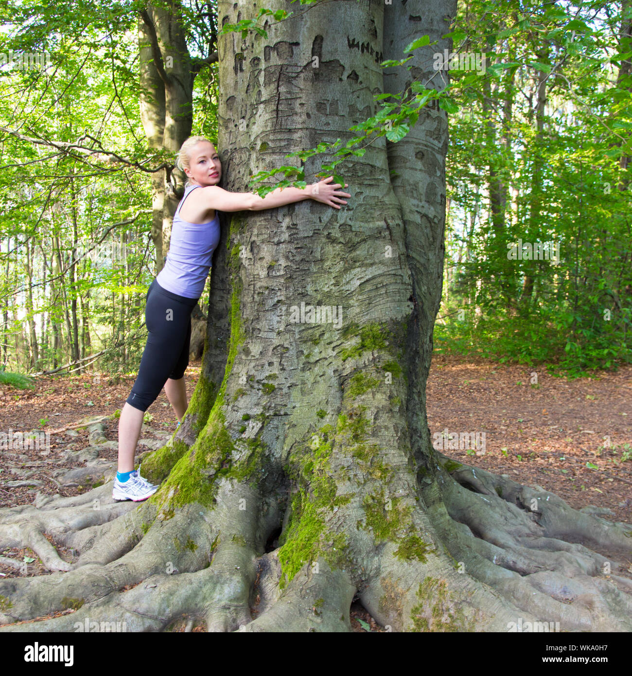 Relaxed young lady embracing a tree receiving life energy from the ...