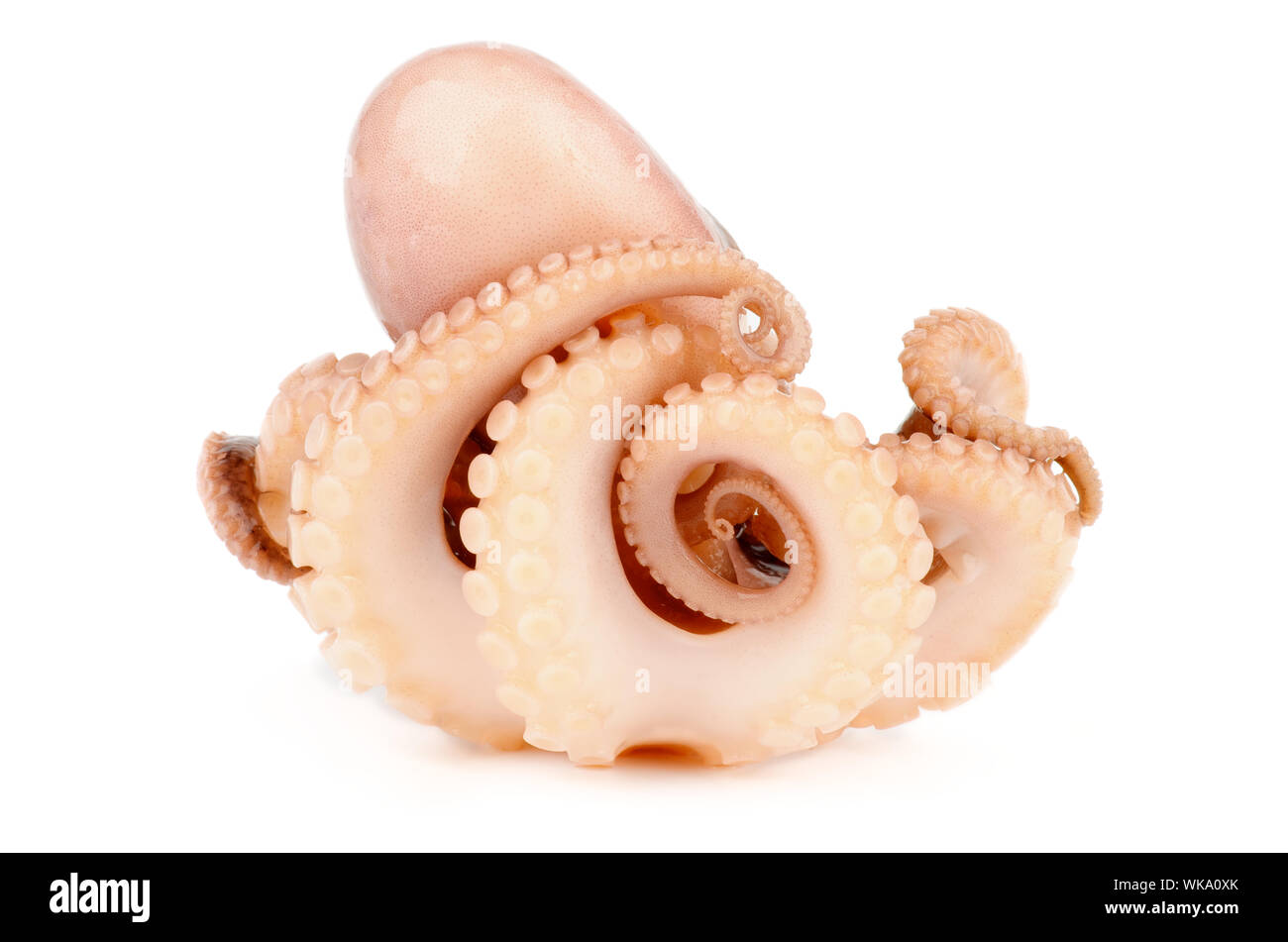 Little Smoked Octopus Full Body isolated on white background Stock ...