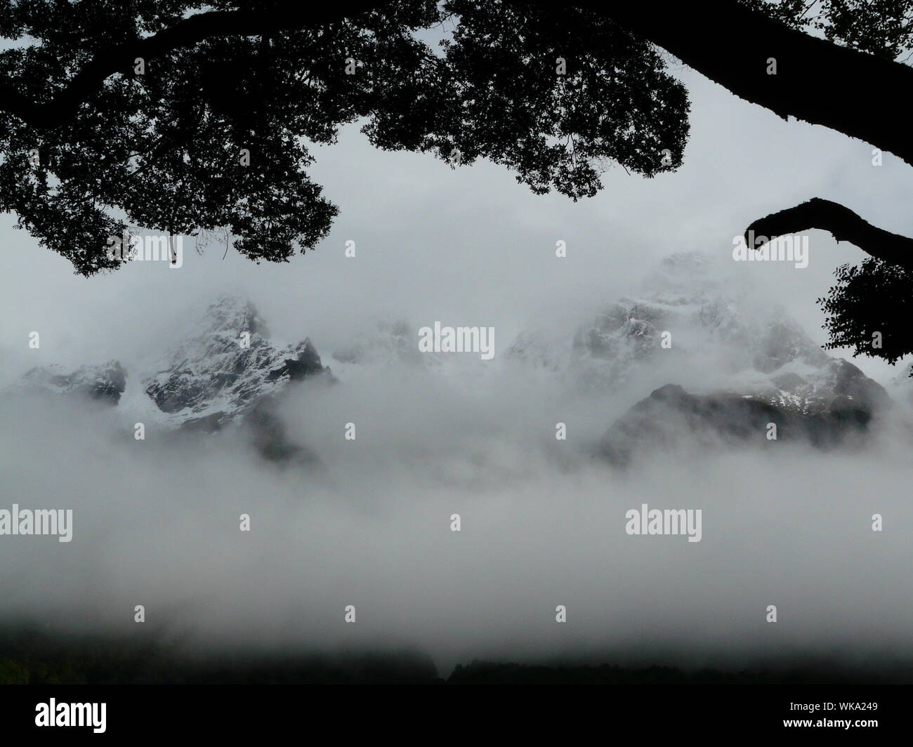 Foggy backgrounds hi-res stock photography and images - Alamy