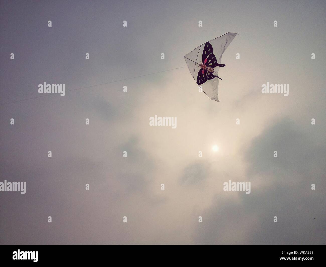 Flying butterfly in the sky hi-res stock photography and images - Alamy