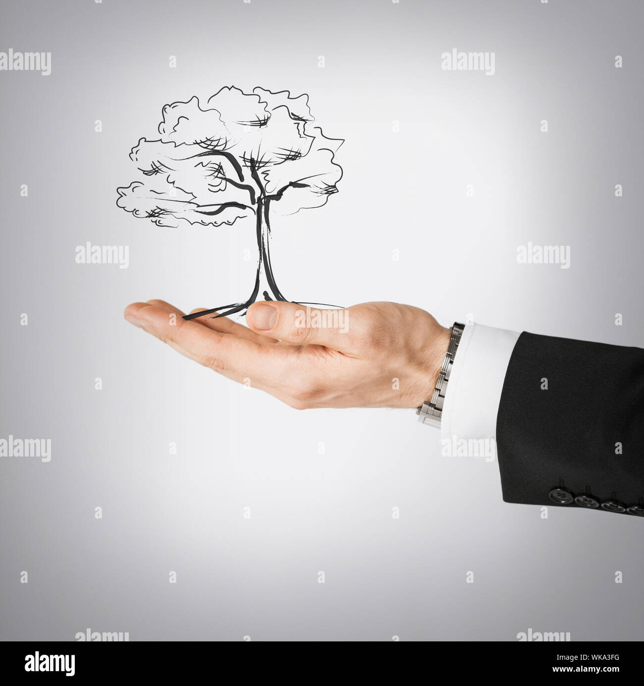 man with small tree in his hand Stock Photo - Alamy