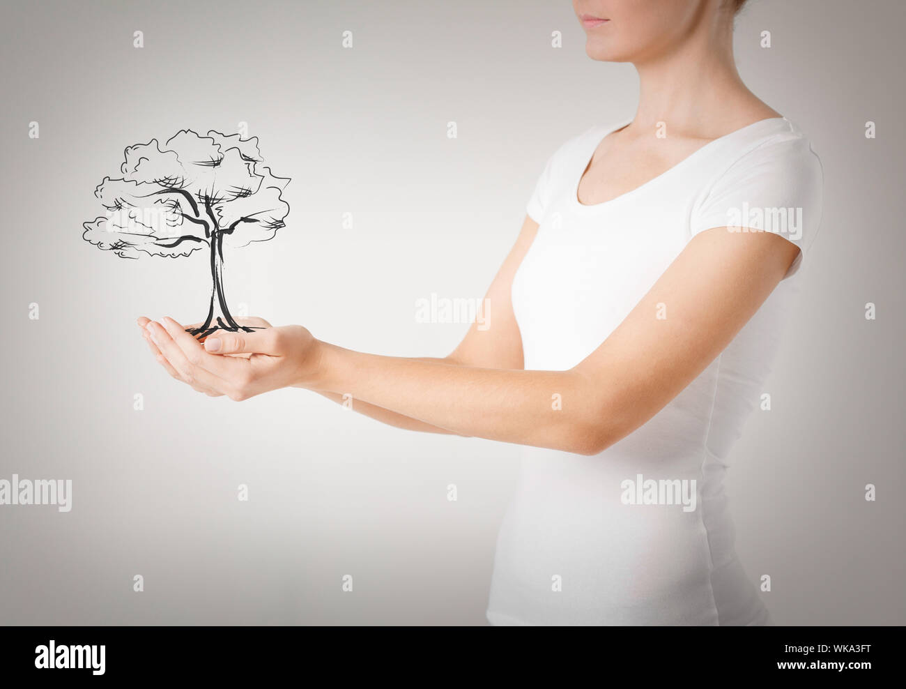 woman with small tree in her hands Stock Photo - Alamy