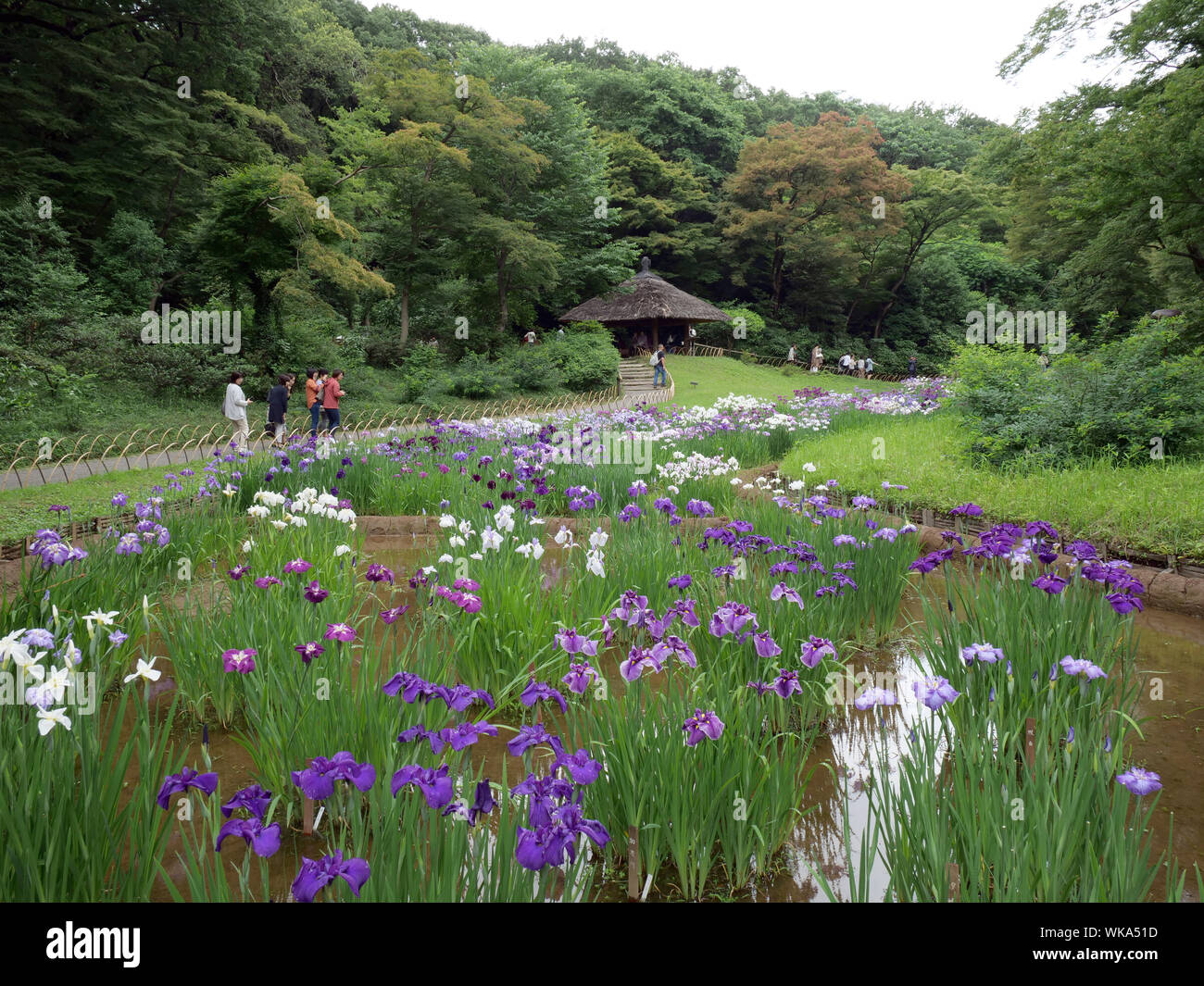JAPAN - photo by Sean Sprague Meiji Jingu Shinto shrine and gardens ...