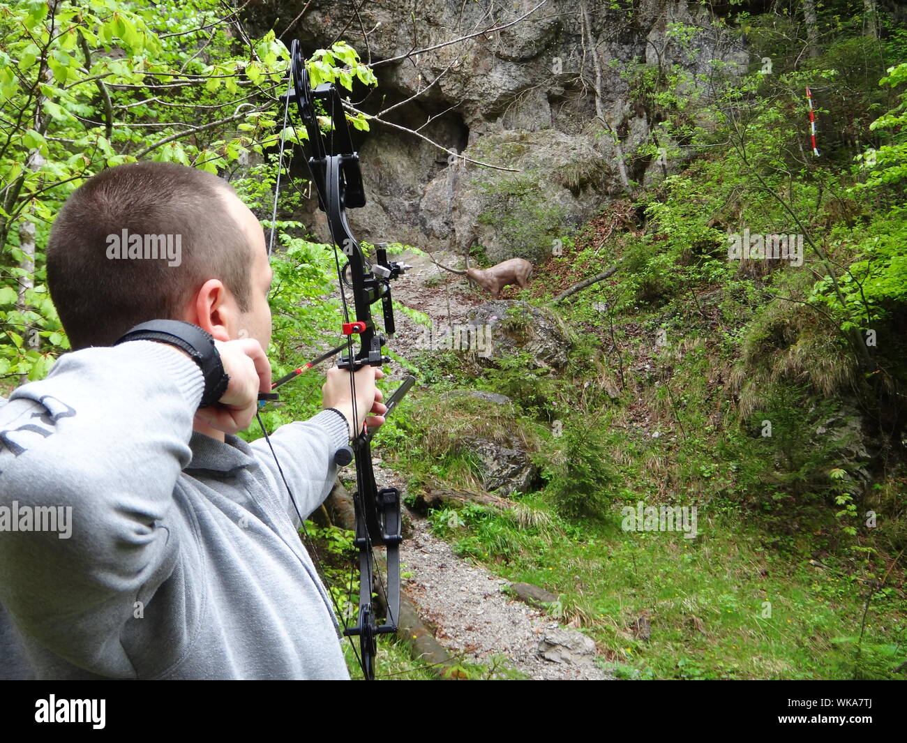 Bow hunting deer hi-res stock photography and images - Alamy