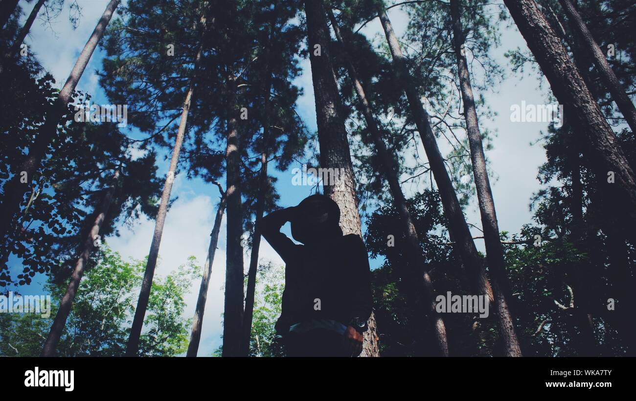 Silhouette man standing in forest hi-res stock photography and images ...