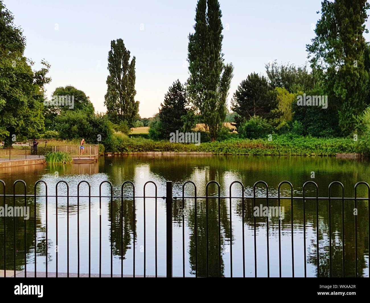 Brockwell High Resolution Stock Photography and Images - Alamy