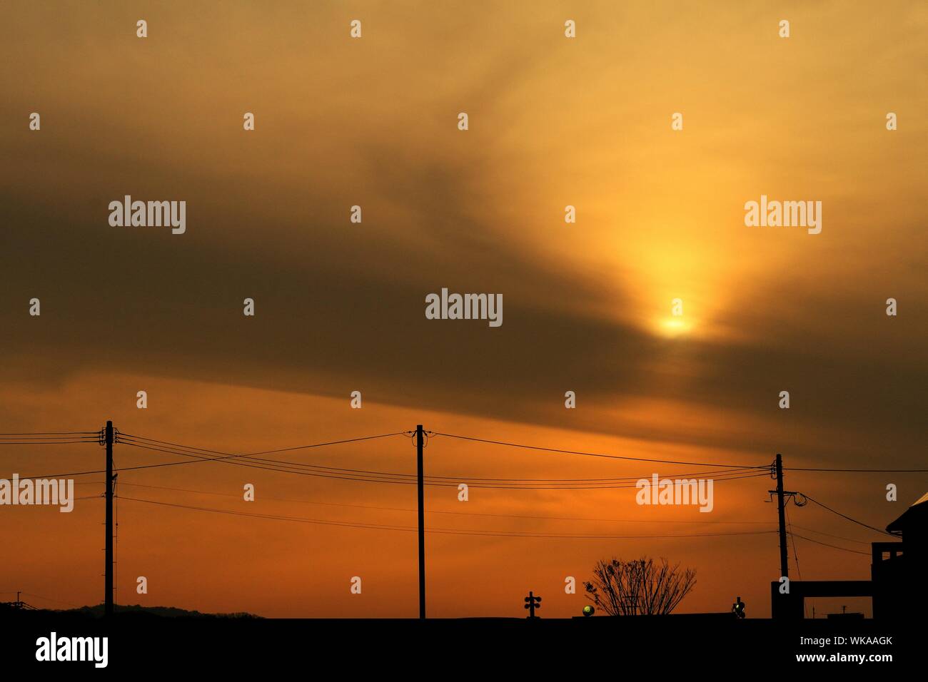 Telephone poles in sunset hi-res stock photography and images - Alamy Telephone poles in sunset hi-res stock photography and images - Alamy