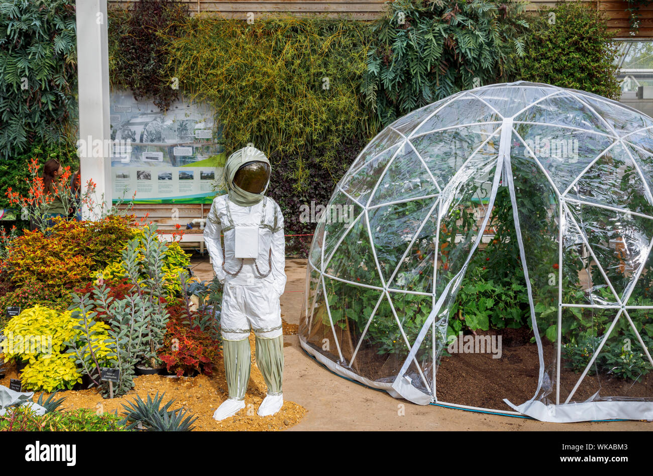Innovative RHS Garden Mars display in the Glasshouse at the September ...