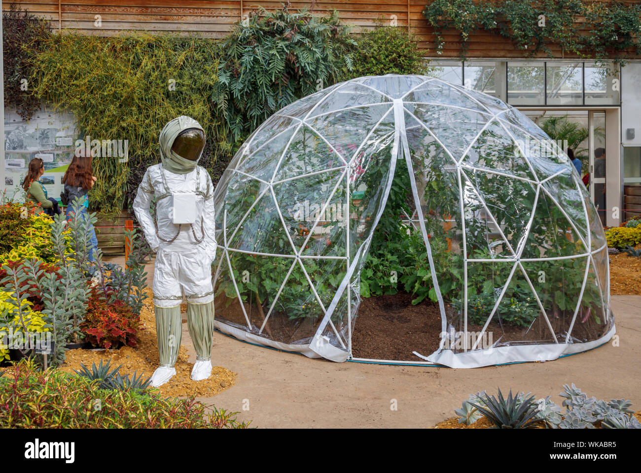 Innovative RHS Garden Mars display in the Glasshouse at the September ...