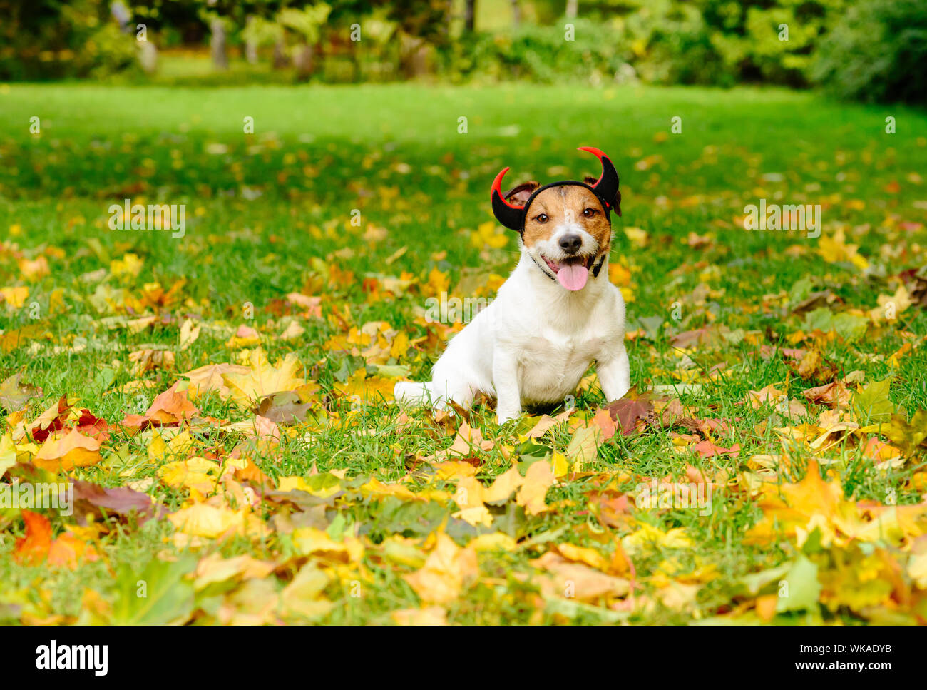 Devil costume hi-res stock photography and images - Alamy