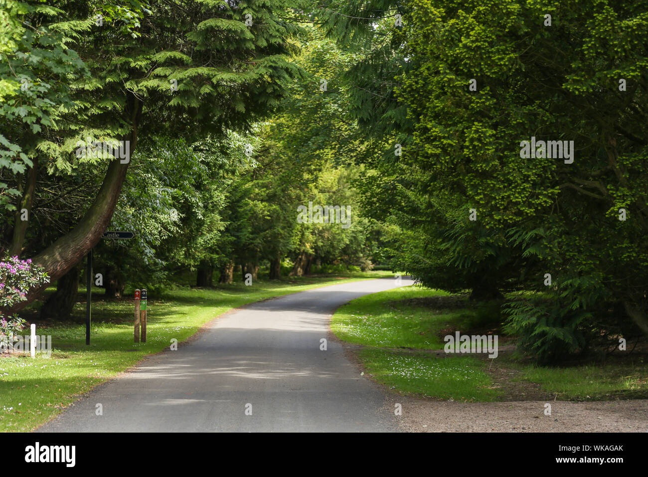 Pathway in a garden park, spring season Stock Photo - Alamy
