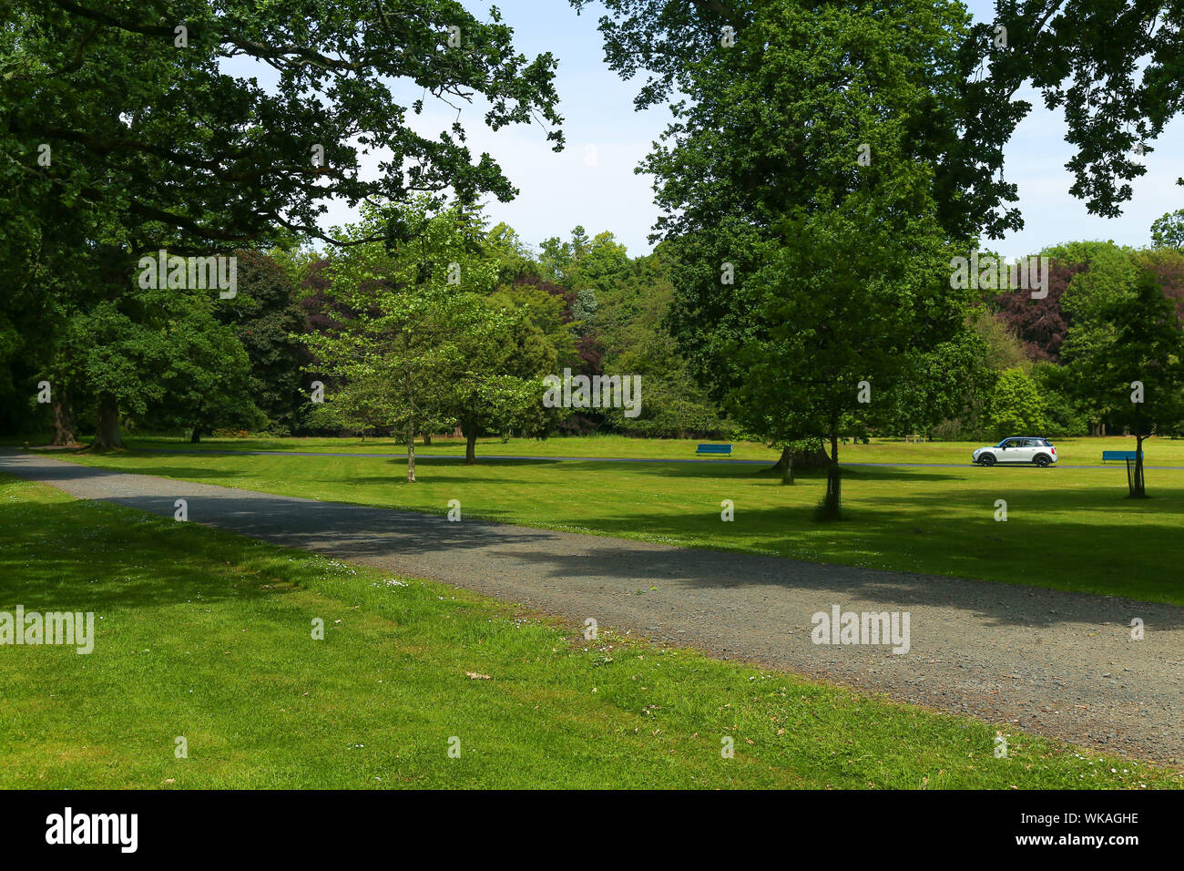 Pathway in a garden park, spring season Stock Photo - Alamy