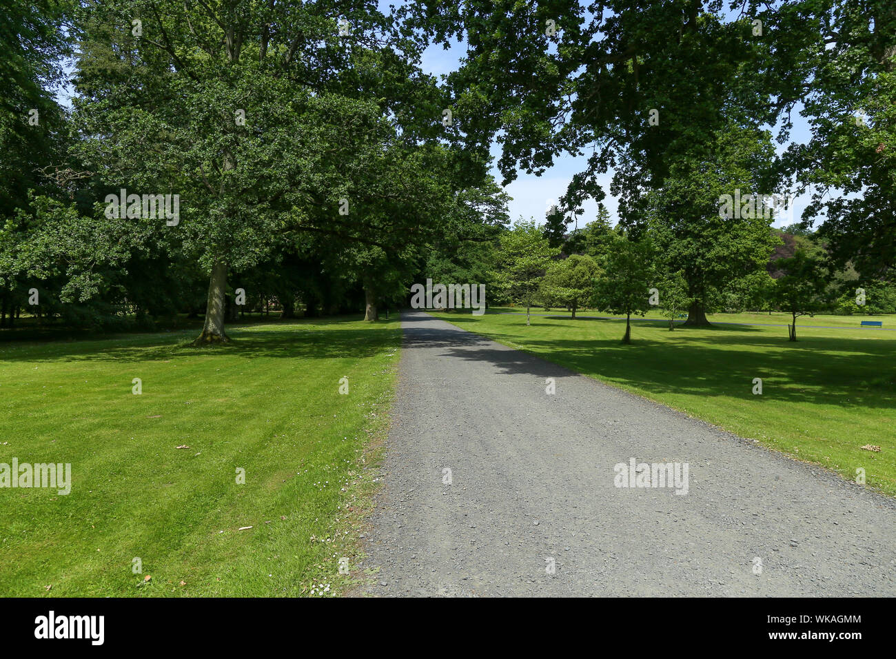 Pathway in a garden park, spring season Stock Photo - Alamy
