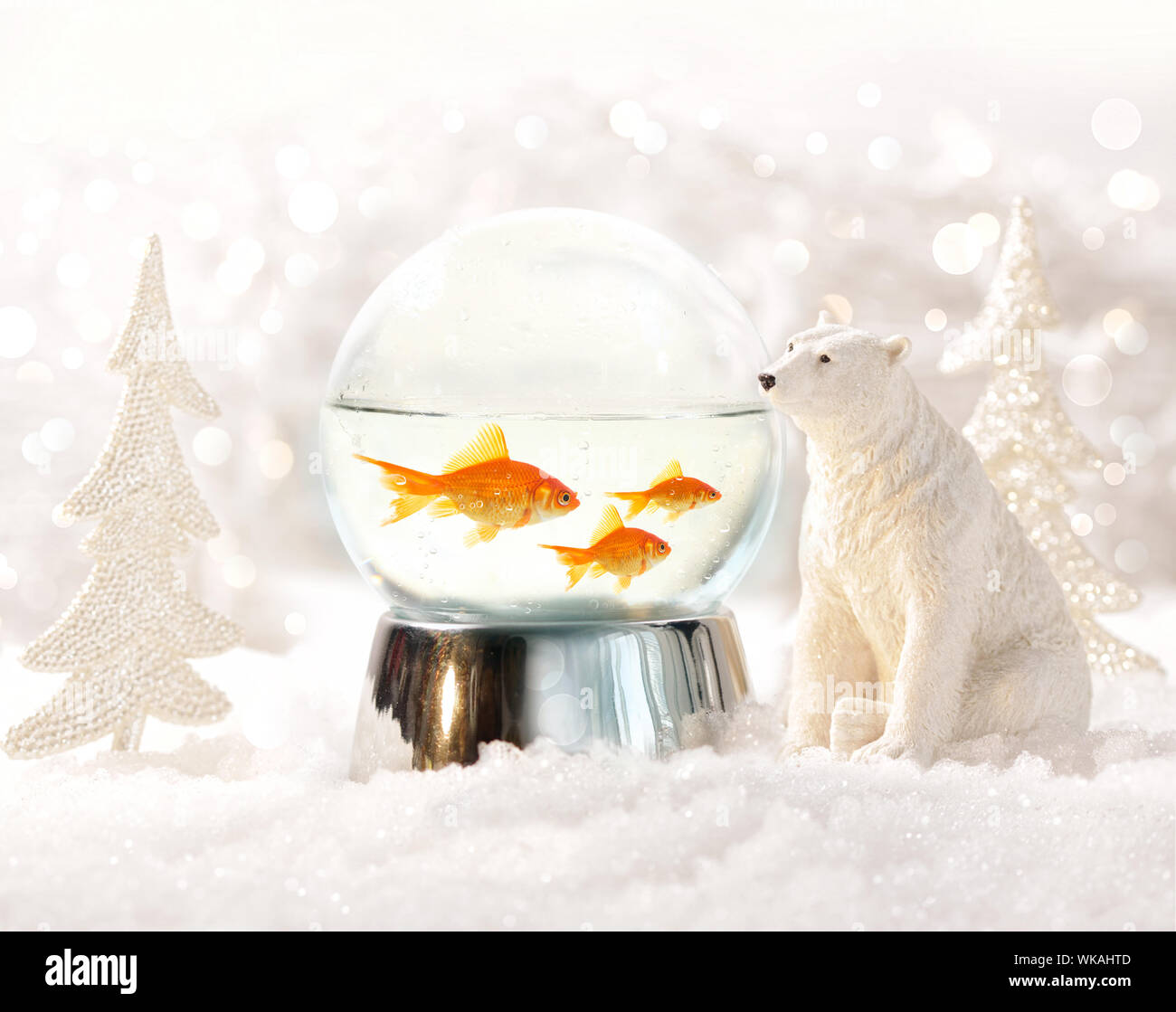 Snow globe with fish in magical winter scene Stock Photo - Alamy